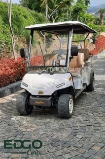 About – EDGO | GOLF CARTS